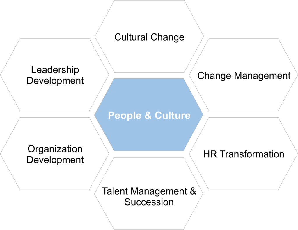 Organization and Culture - Caliber Consulting
